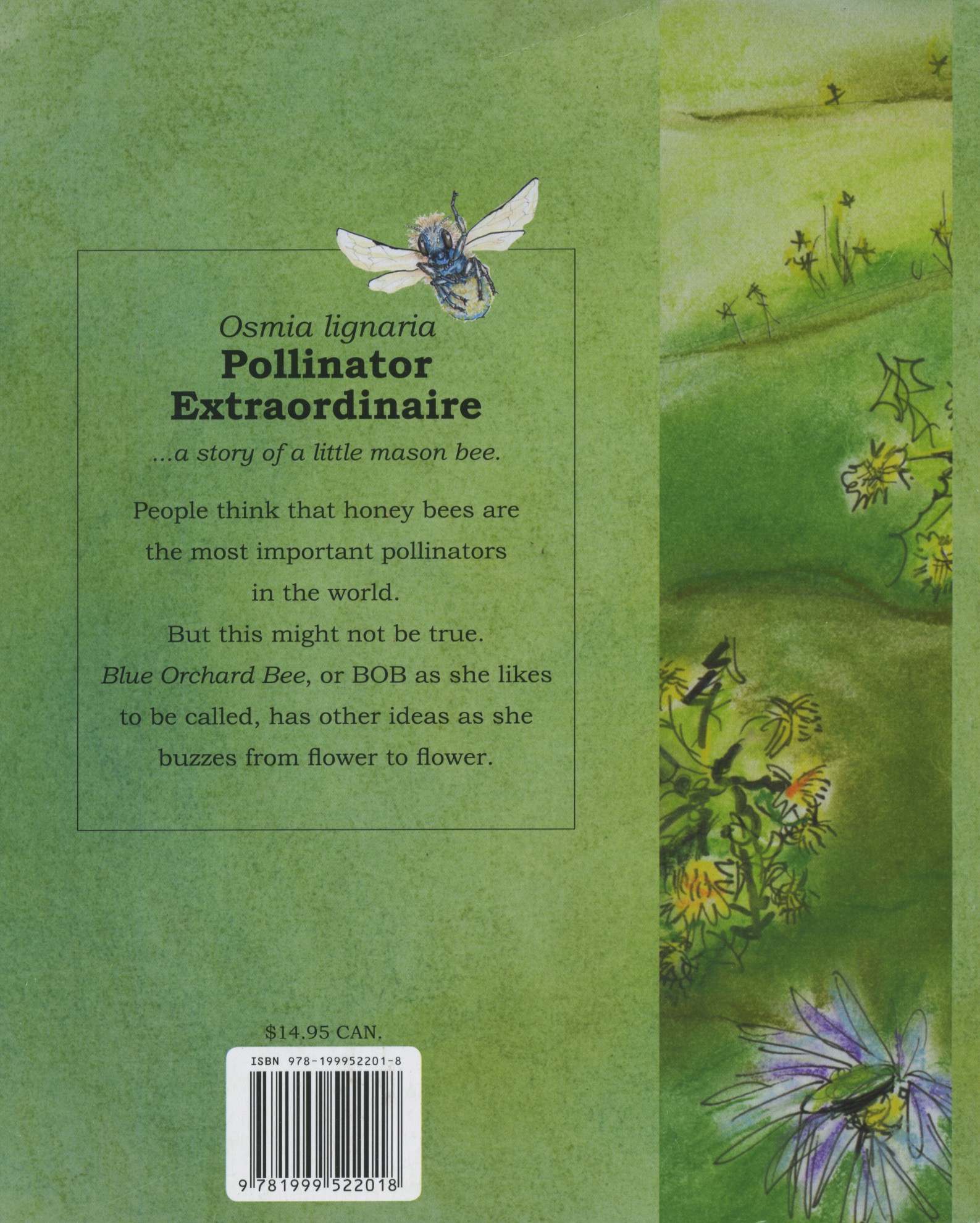 A BEE NAMED BOB – Bee Stories Publishing