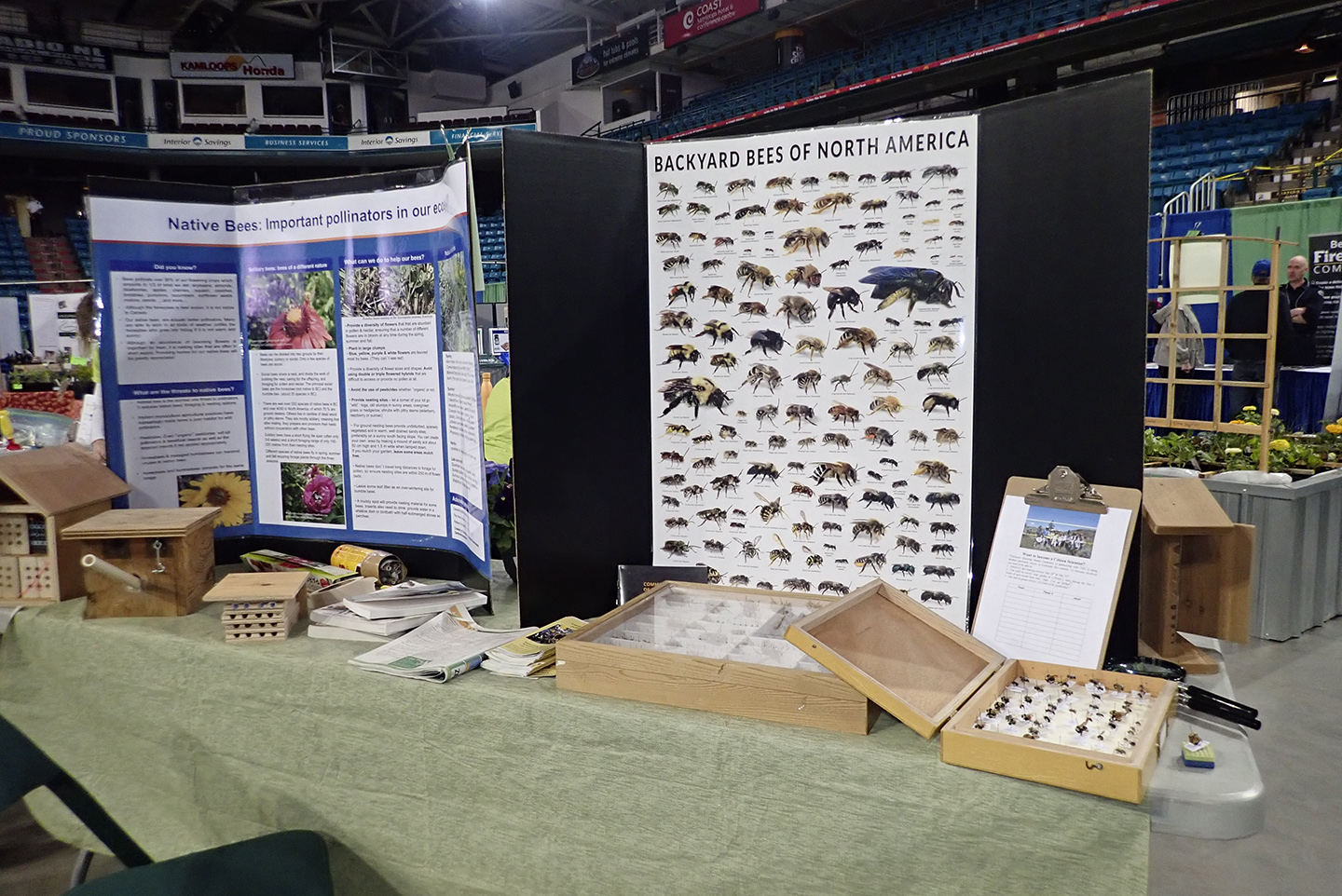 FOR EDUCATORS – Bee Stories Publishing